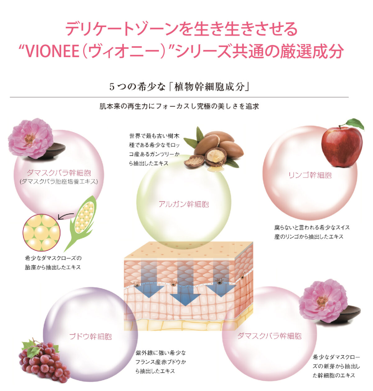 PEQLIA - PEQLIA 【女性用デリケートケア専門サロン】